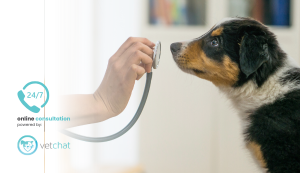 Complete Care – OurVet