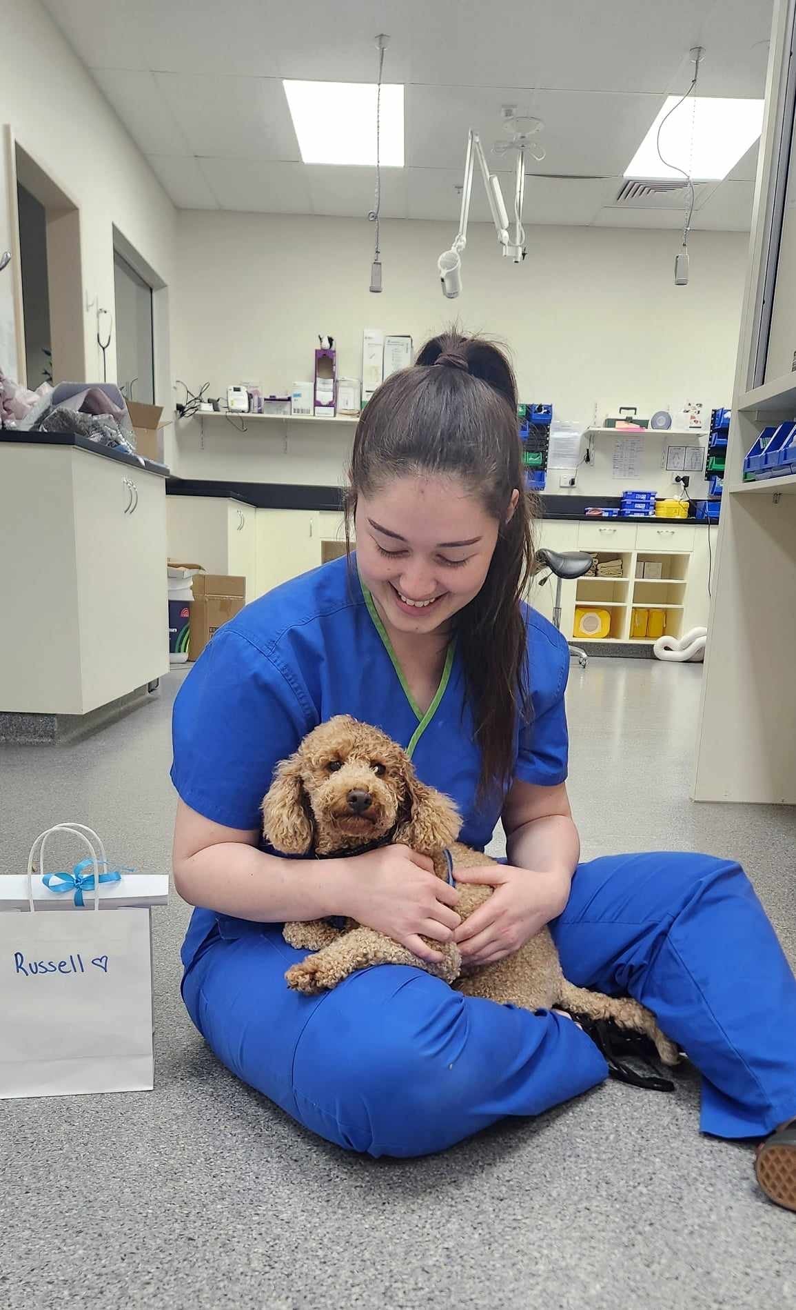 Capalaba Vet Clinic – OurVet