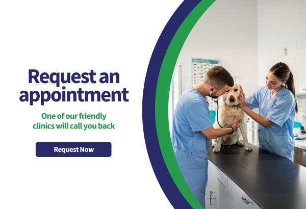 Our Vet: Preventative pet care for happy and healthy pets – OurVet