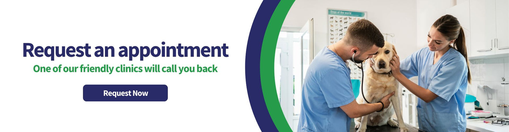 Our Vet: Preventative pet care for happy and healthy pets – OurVet