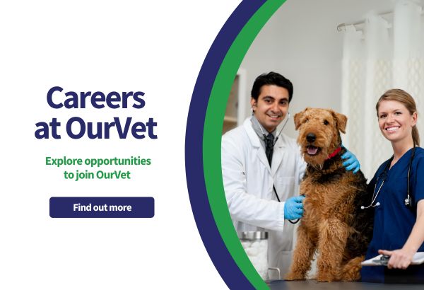 Our Vet: Preventative pet care for happy and healthy pets – OurVet