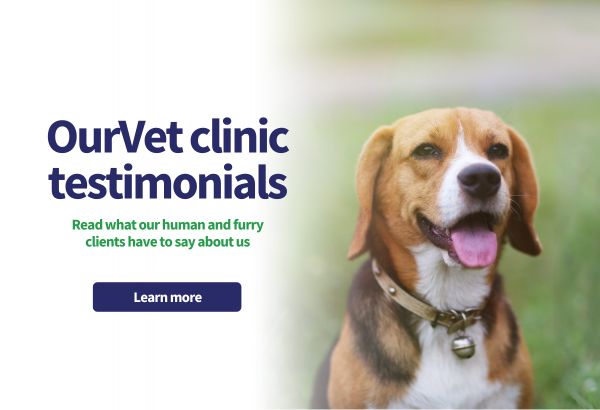 Our Vet: Preventative pet care for happy and healthy pets – OurVet