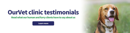 Our Vet: Preventative pet care for happy and healthy pets – OurVet