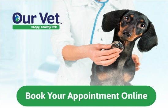 Capalaba Vet Clinic – OurVet