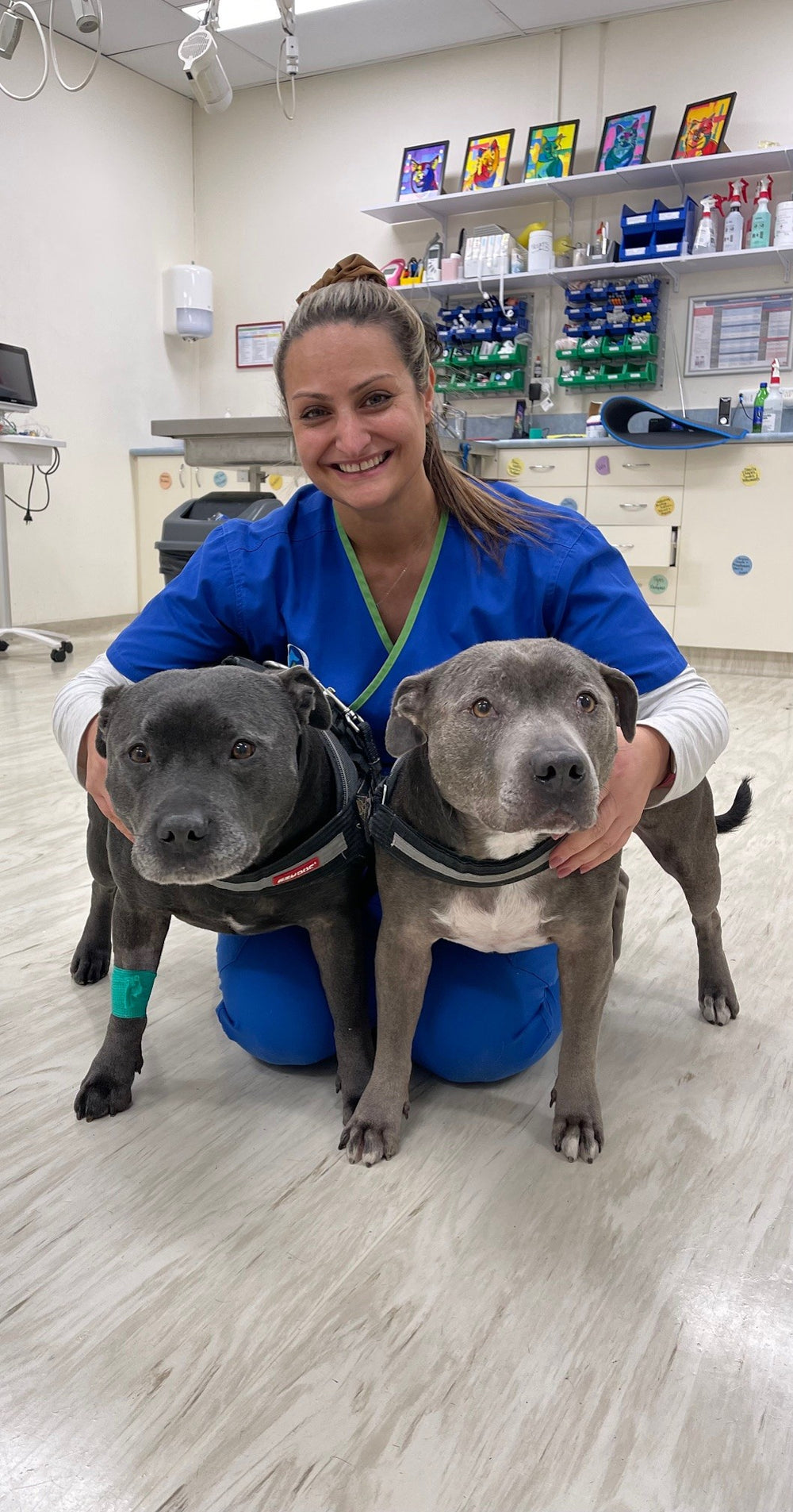 OurVet Maribyrnong