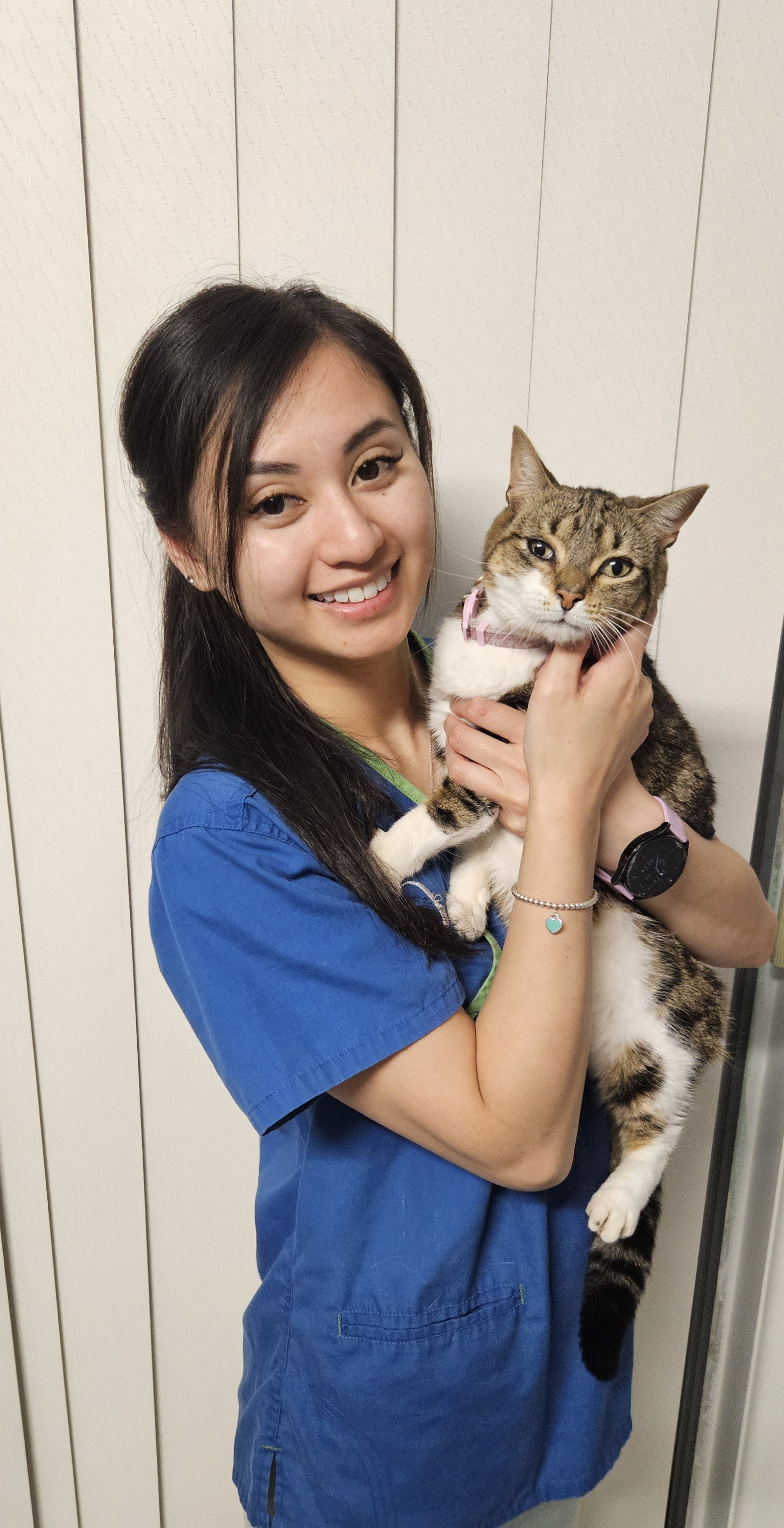 Springvale Vet Clinic – OurVet