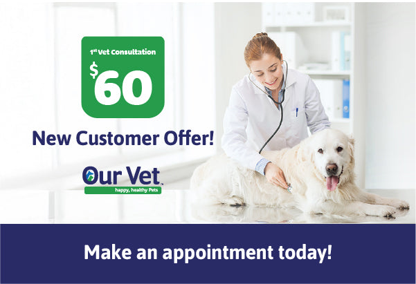 Tuggeranong Vet Clinic – OurVet