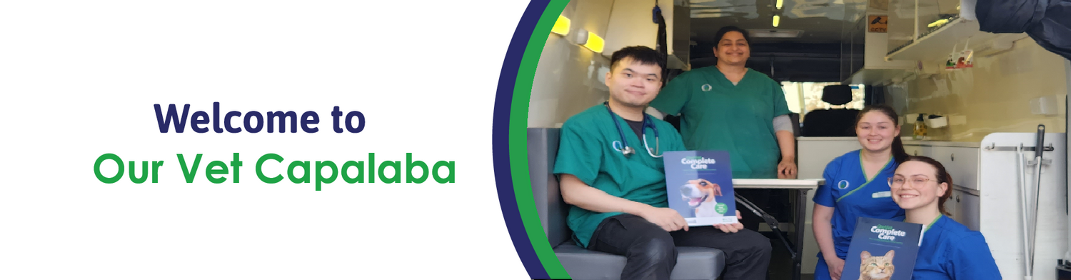 Capalaba Vet Clinic – OurVet