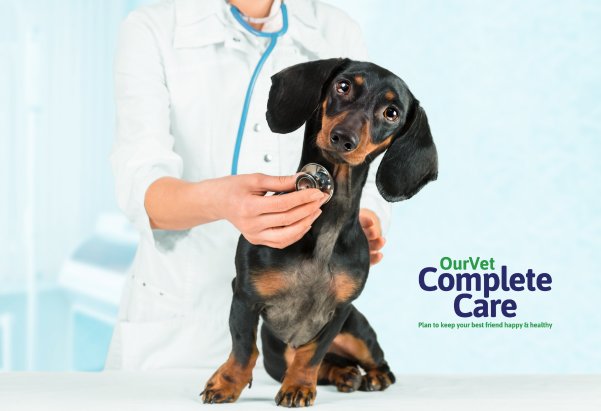 Complete Care – OurVet