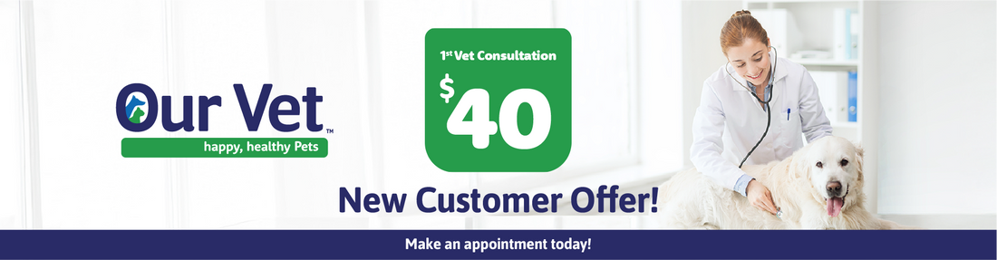 Our Vet: Preventative pet care for happy and healthy pets – OurVet