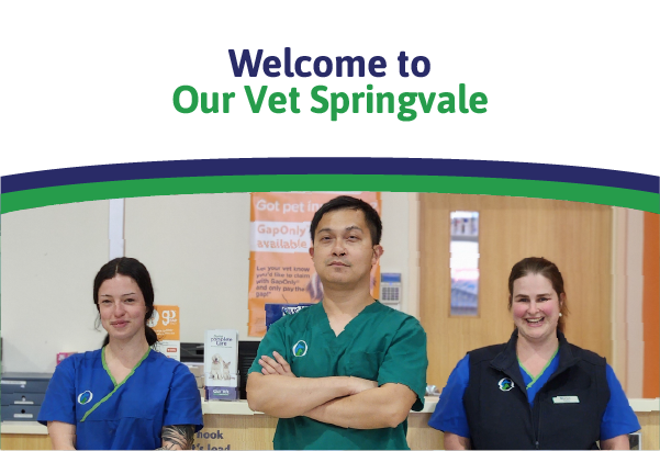 Springvale Vet Clinic – OurVet