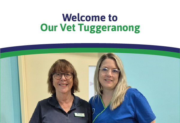 Tuggeranong Vet Clinic – OurVet
