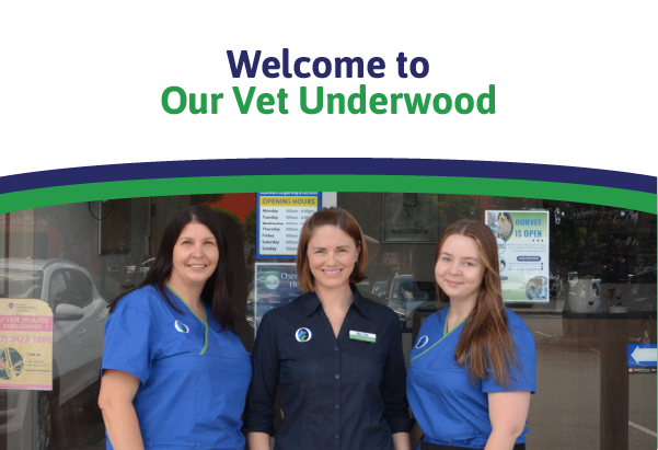 Underwood Vet Clinic – OurVet