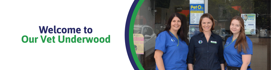 Underwood Vet Clinic – OurVet