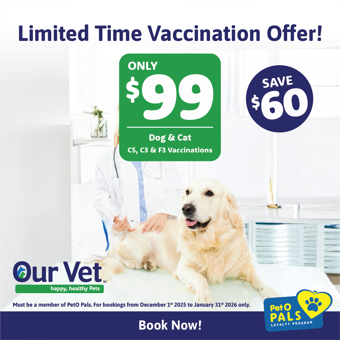 Tuggeranong Vet Clinic – OurVet