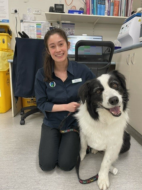Preston Vet Clinic – OurVet