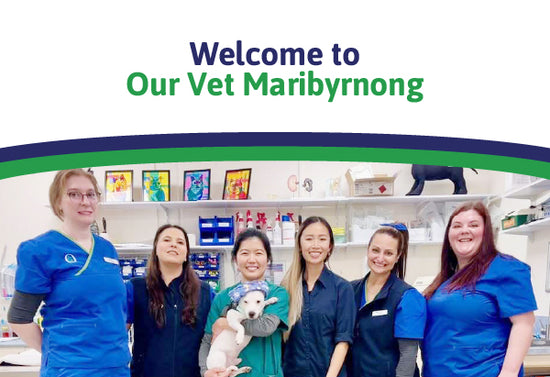 Maribyrnong Vet Clinic – OurVet