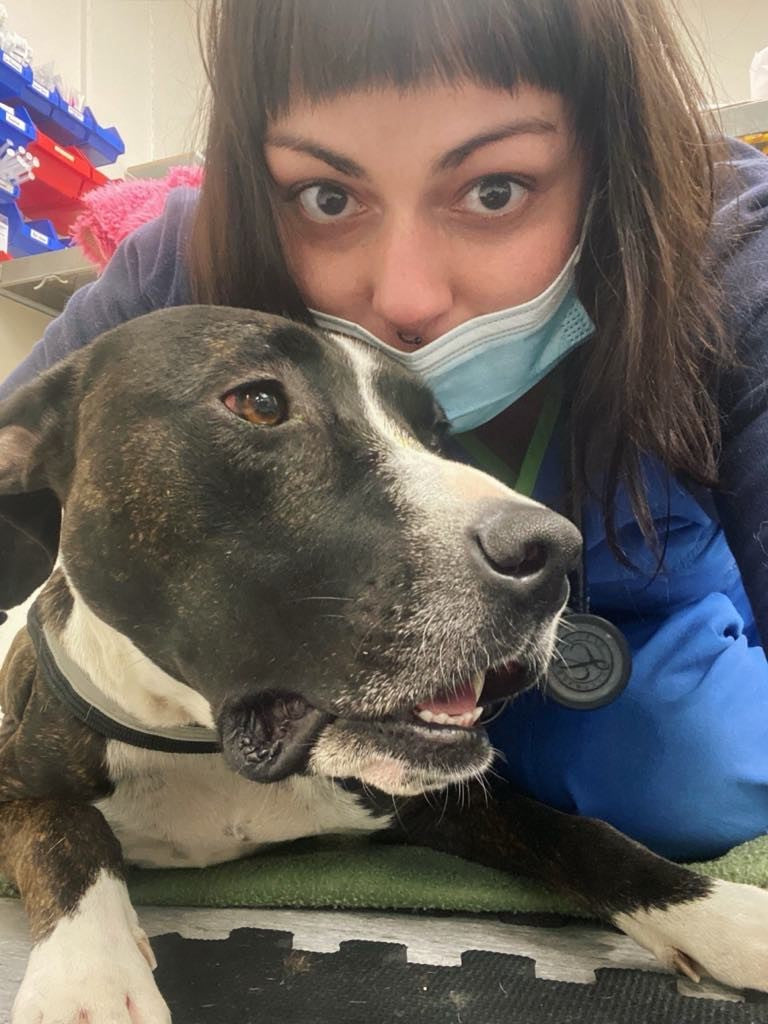 Preston Vet Clinic – OurVet